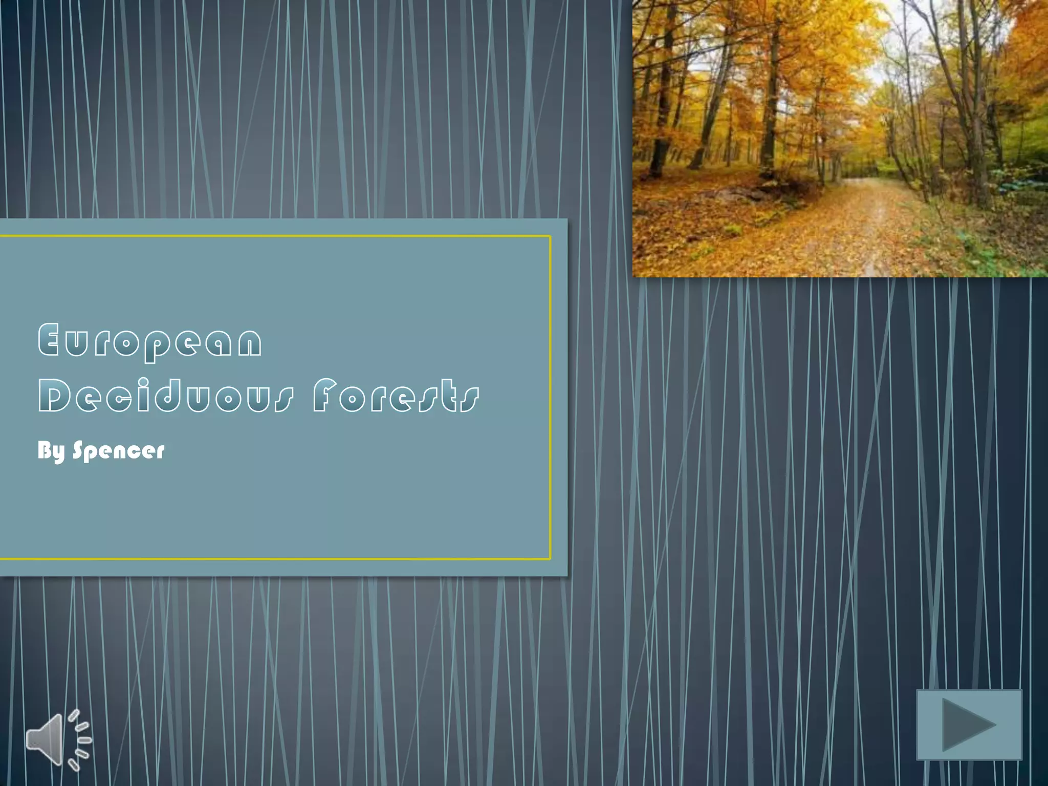 Deciduous forests | PPTX