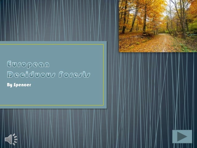 Deciduous forests | PPT