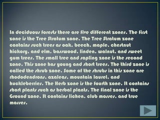 Deciduous forests | PPT