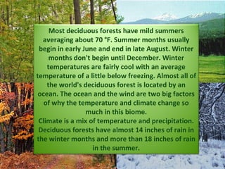 Deciduous Forest Climate