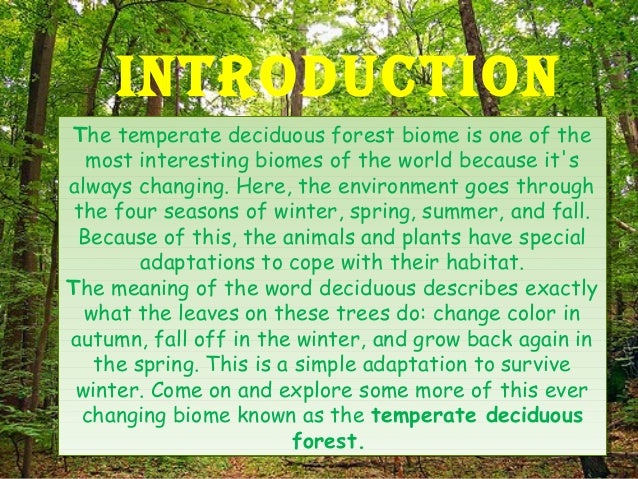 Deciduous forest vegetation....
