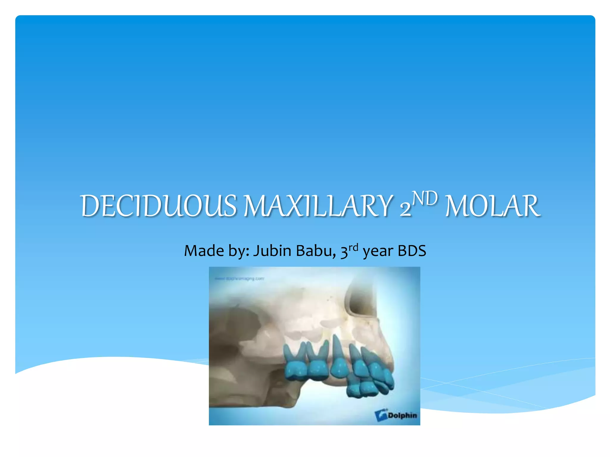 Deciduous maxillary & mandibular 2 nd molar | PPTX