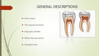 Deciduous molars | PPTX
