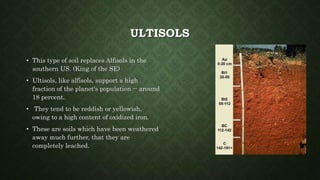 Deciduous rainforests | PPTX