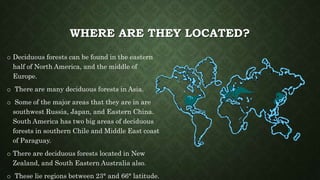 Deciduous rainforests | PPTX