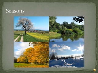 Deciduous trees | PPTX