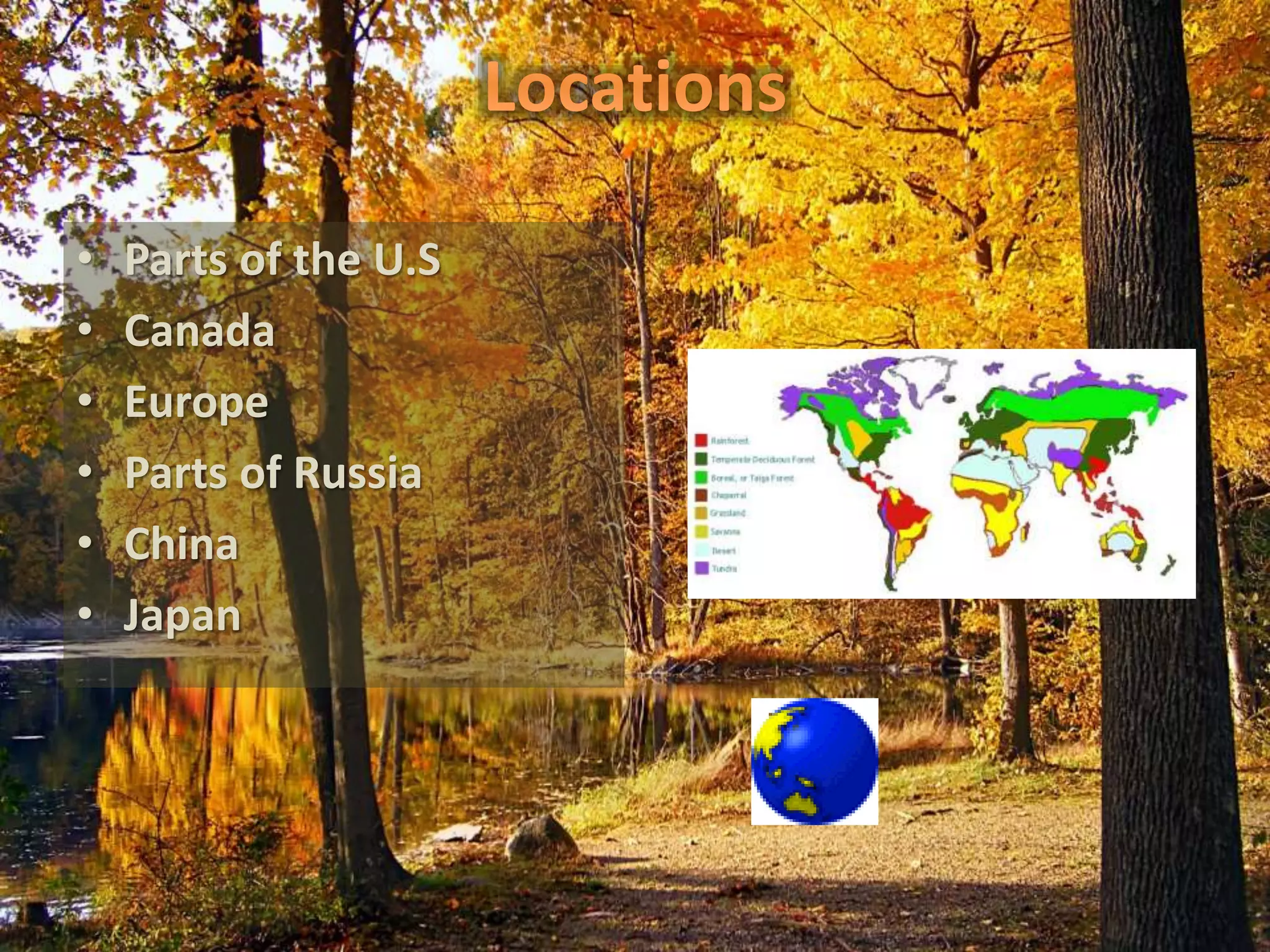 Deciduous Forest | PPTX | Geography | Science