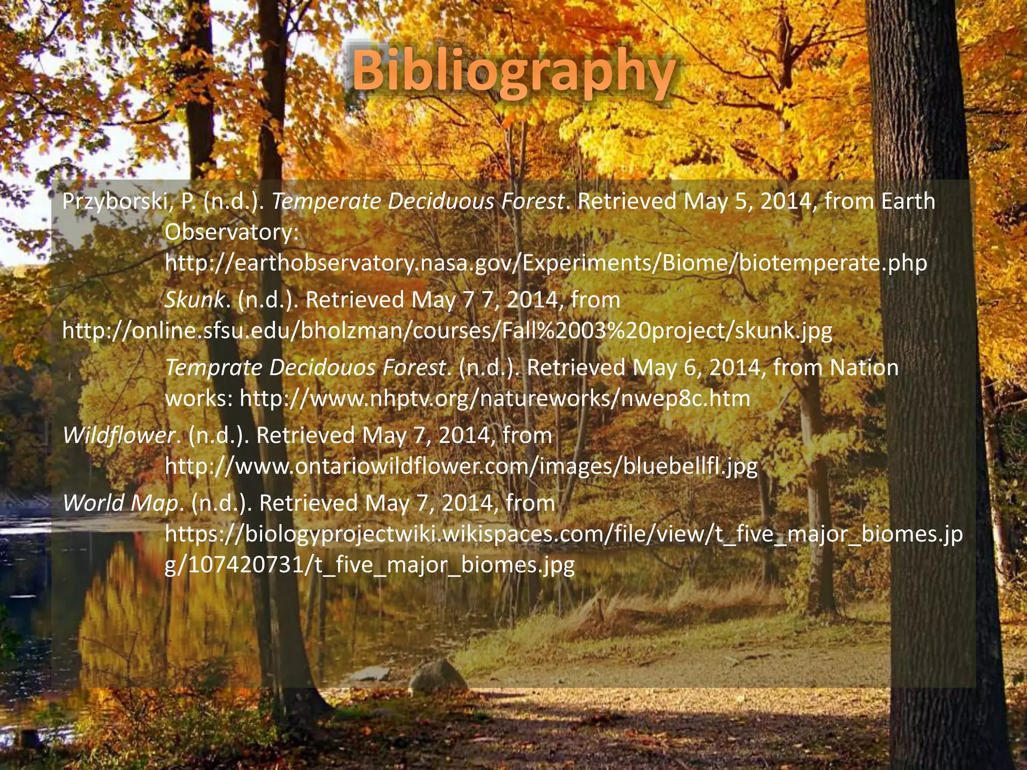 Deciduous Forest | PPTX | Geography | Science