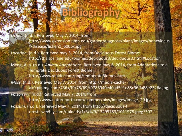 Deciduous Forest | PPTX | Geography | Science