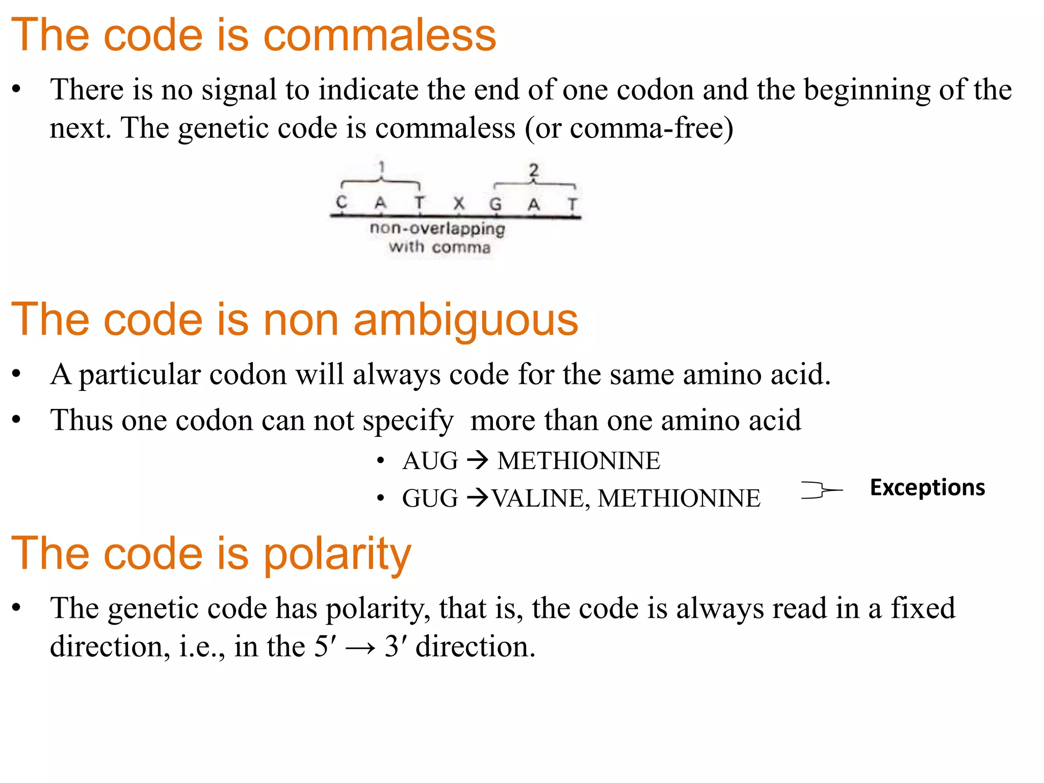 Deciphering of the genetic code | PPTX