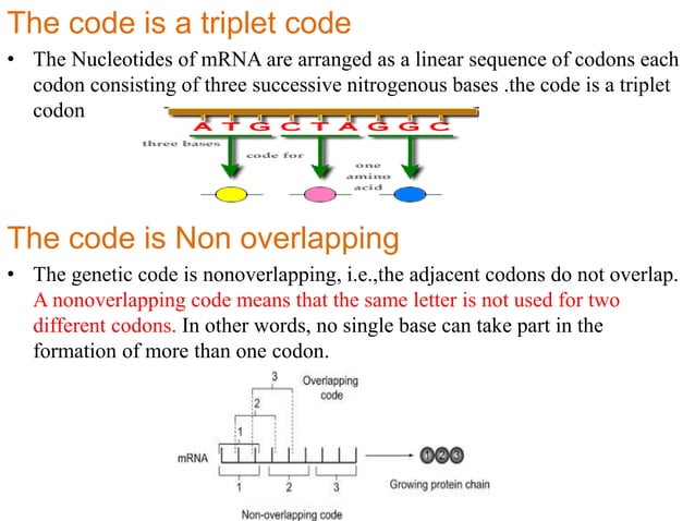 Deciphering of the genetic code | PPTX