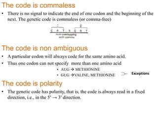Deciphering of the genetic code | PPTX