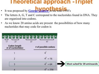 Deciphering of the genetic code | PPTX