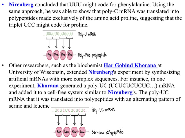 Deciphering of the genetic code | PPTX