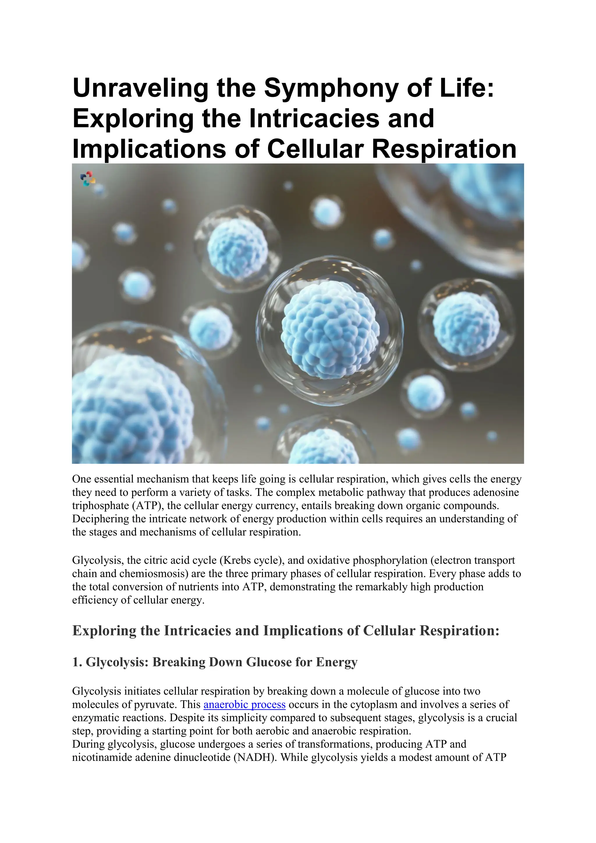 Deciphering Cellular Respiration: Stages, Mechanisms, and Implications ...