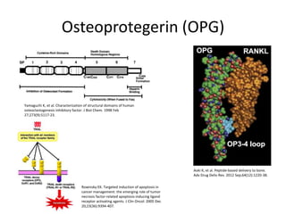 Deciphering the role of osteoprotegerin in inflammatory bowel diseases ...