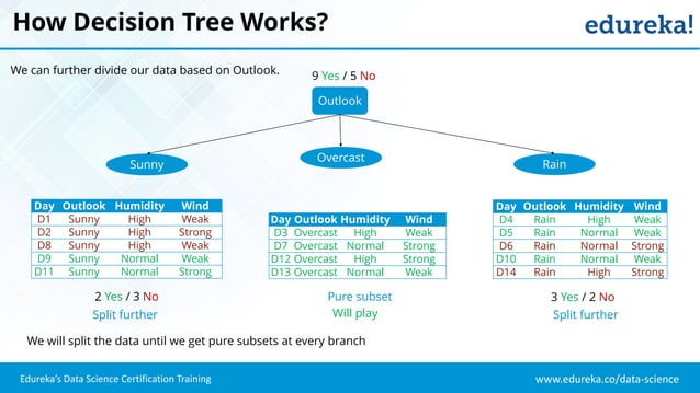 Decision Tree Algorithm & Analysis | Machine Learning Algorithm | Data Science Training ...