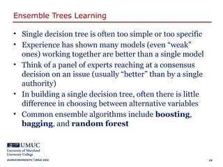 Decision-trees basic decryptions DT .pptx