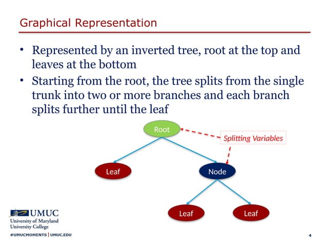 Decision-trees basic decryptions DT .pptx