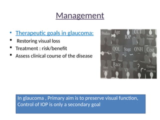 Decision making and management of primary open angle (1).pptx