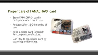 Decision making tools for deworming | PPTX | Infectious Diseases ...