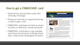 Decision making tools for deworming | PPTX | Infectious Diseases ...