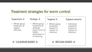 Decision making tools for deworming | PPTX | Infectious Diseases ...
