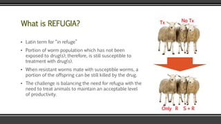 Decision making tools for deworming | PPTX | Infectious Diseases ...