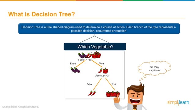 Decision Tree Algorithm With Example | Decision Tree In Machine ...
