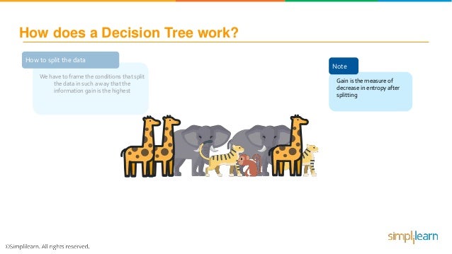 Decision Tree In Machine Learning By Kaumadie Chamalka Medium