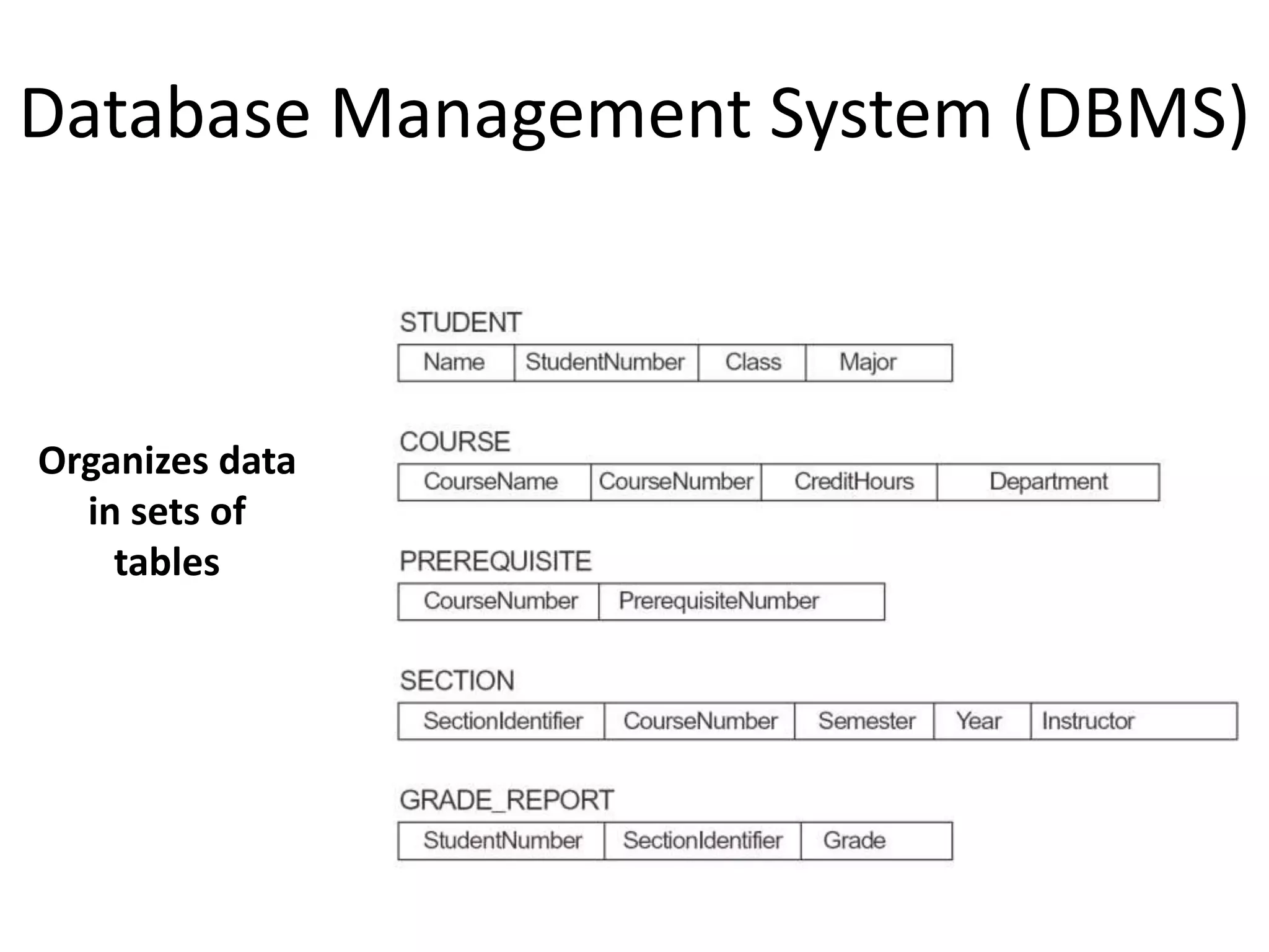 Managing Data: storage, decisions and classification | PPT