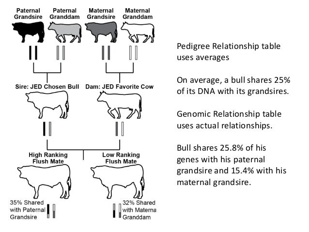 Using DNA on your farm to select more profitable cattle