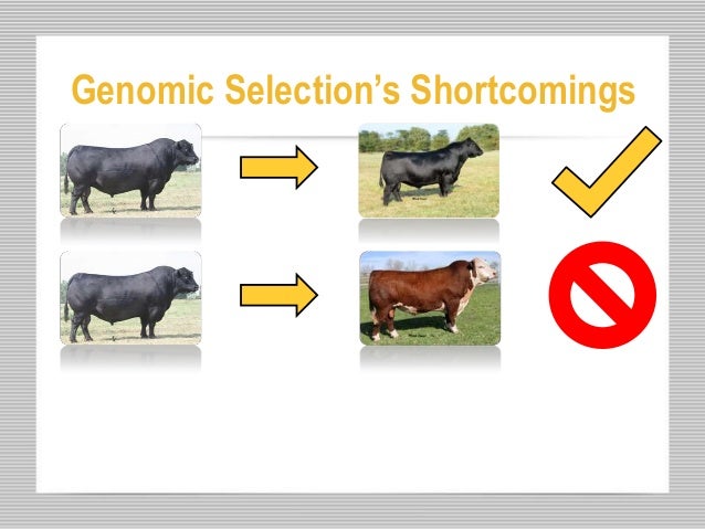 Using DNA on your farm to select more profitable cattle