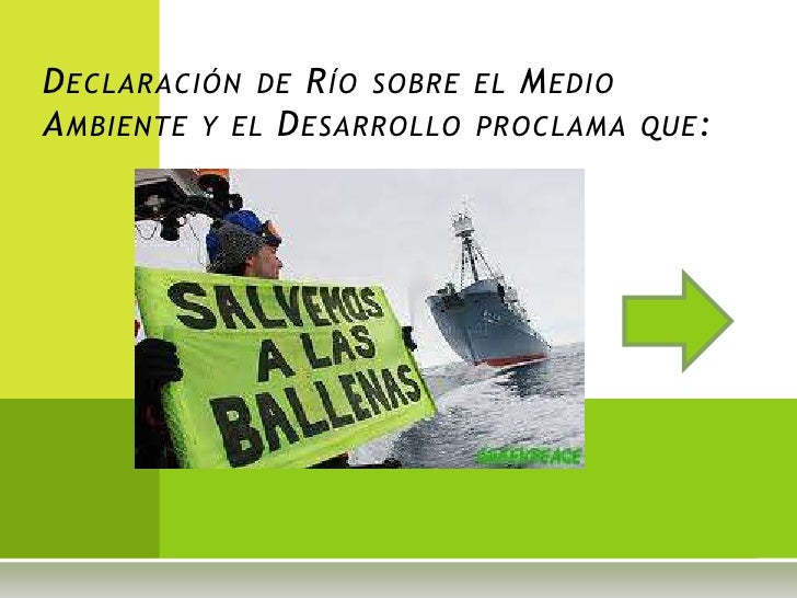 Declaración de río sobre el medio ambiente y