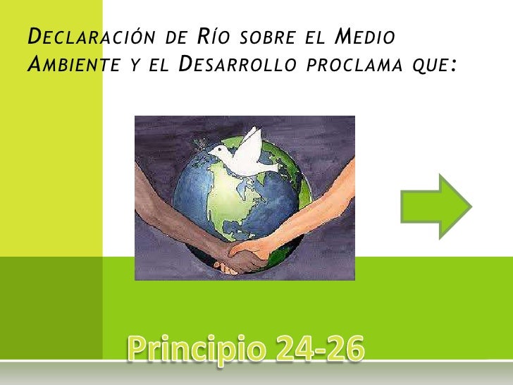 Declaración de río sobre el medio ambiente y