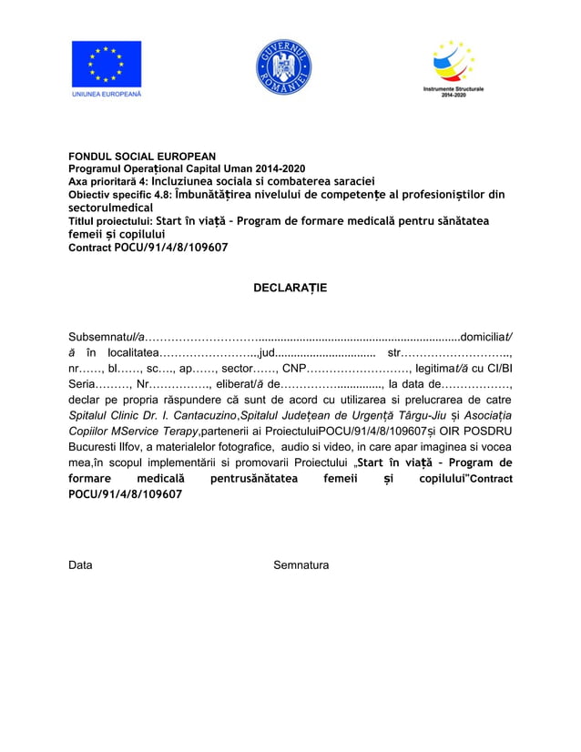 Declaratie pe propria raspundere | DOC