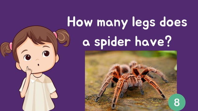 DECLARATIVE INTERROGATIVE PRONOUNS FOR GRADESCHOOL | PPT