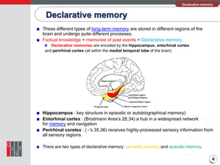 Declarative Memory Examples