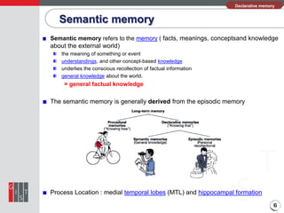 Declarative Memory Examples