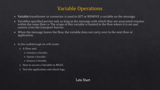 Declaring Variables in Mule Part-1 Variable operations | PPSX