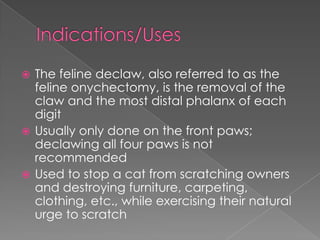 Declawing | PPT