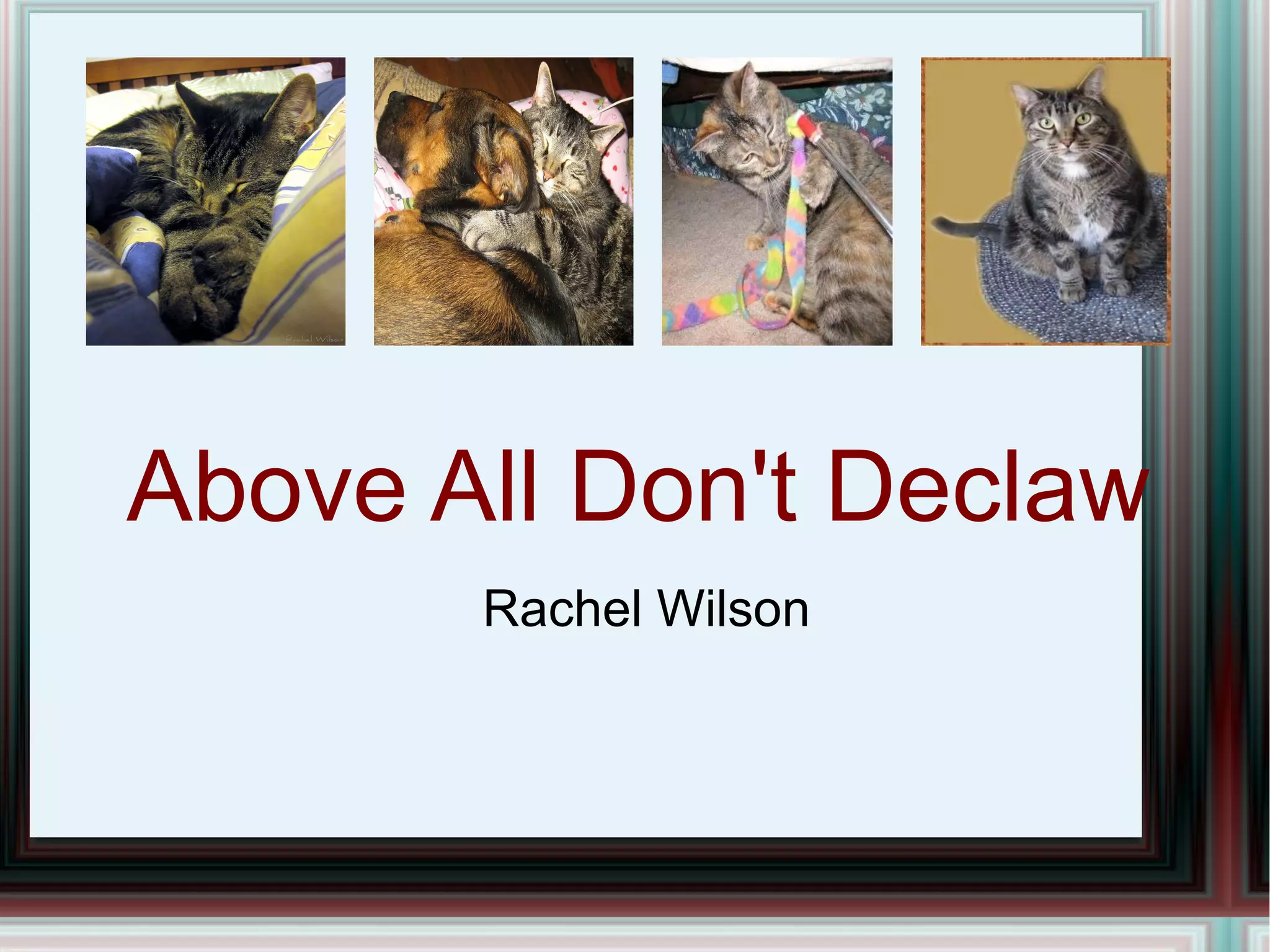 Declawing Speech Pp | PPT