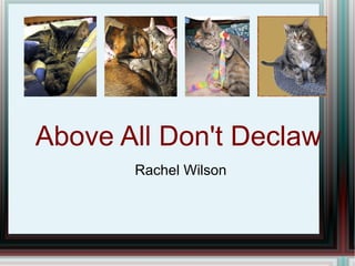 Declawing Speech Pp | PPT