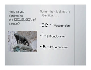 Declension of a noun | PDF