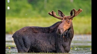 【de:code 2020】 テレワークで需要急増！デモでわかる Microsoft Teams の企業向けクラウド電話システムと Calling API の概要 | PDF