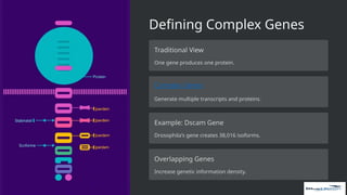 Understanding Complex Genes: What Makes Them So Challenging? | PPT