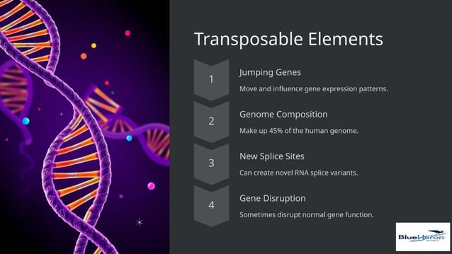 Understanding Complex Genes: What Makes Them So Challenging? | PPT