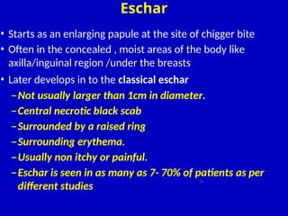 Decoding -Rickettesial Fever in Children.ppt