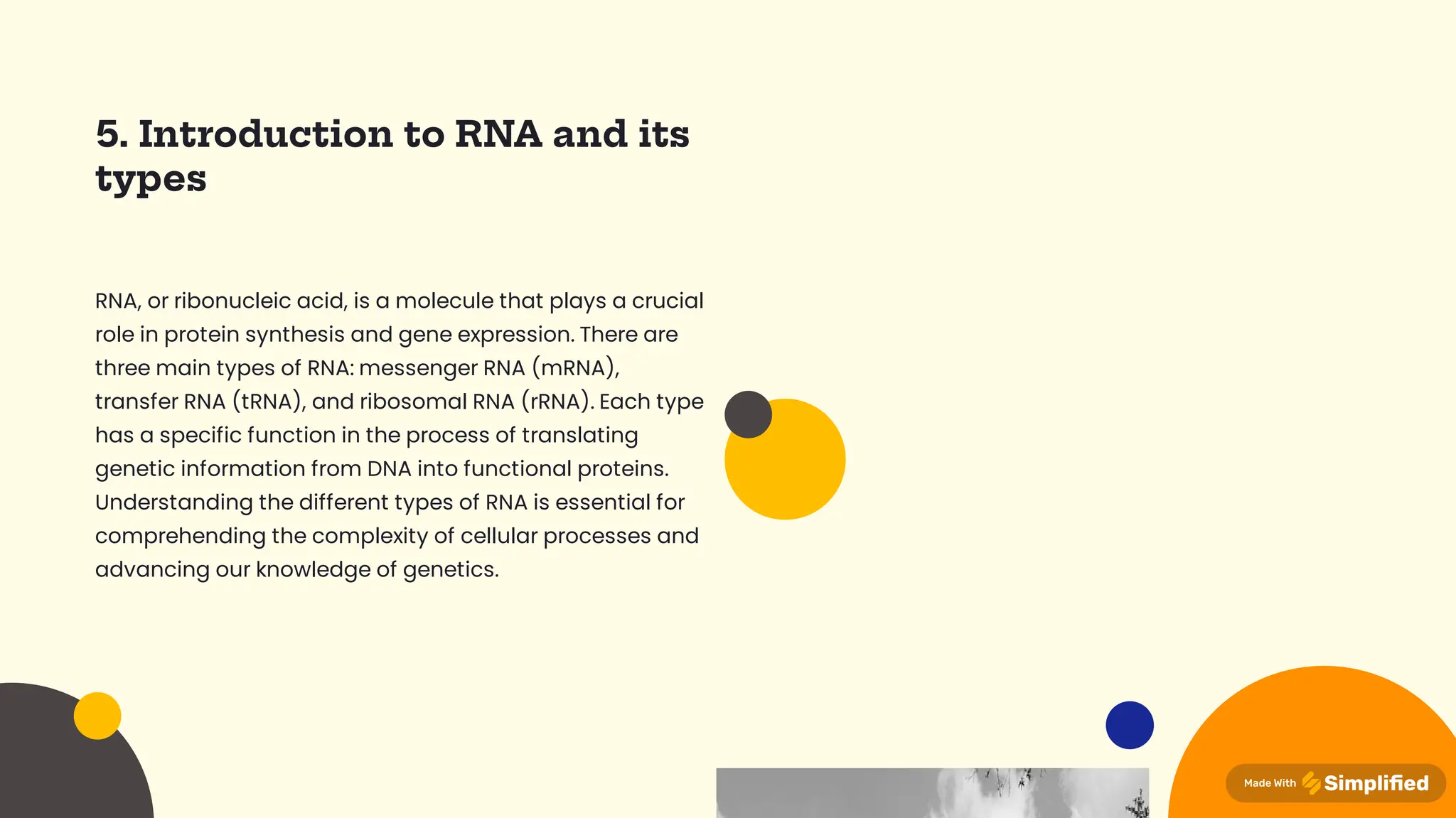 decoding-the-blueprint-of-life-a-comprehensive-guide-to-dna-and-rna.pdf ...