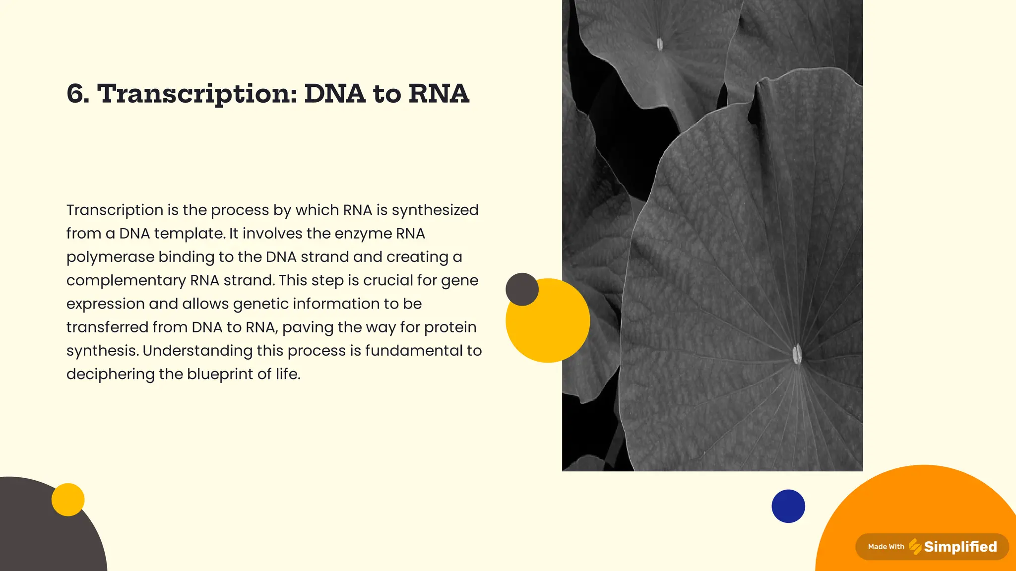 decoding-the-blueprint-of-life-a-comprehensive-guide-to-dna-and-rna.pdf ...